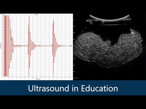Ultrasound in Higher Education and Schools » GAMPT mbH